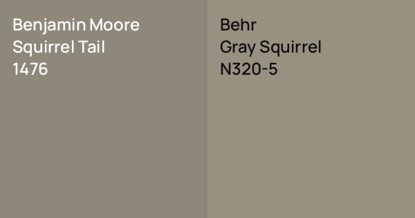 Benjamin Moore Squirrel Tail vs. Behr Gray Squirrel comparison