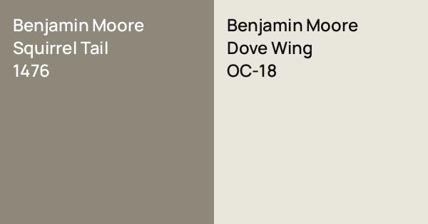 Benjamin Moore Squirrel Tail vs. Benjamin Moore Dove Wing comparison