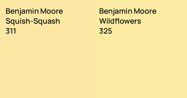 Benjamin Moore Squish-Squash vs. Benjamin Moore Wildflowers comparison