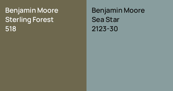 Benjamin Moore Sterling Forest vs. Benjamin Moore Sea Star comparison