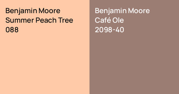 Benjamin Moore Summer Peach Tree vs. Benjamin Moore Café Ole comparison