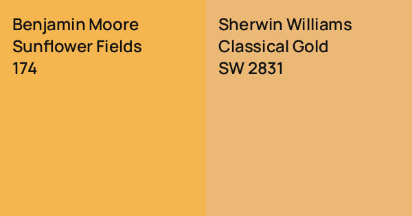 Benjamin Moore Sunflower Fields vs. Sherwin Williams Classical Gold ...