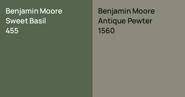 Benjamin Moore Sweet Basil vs. Benjamin Moore Antique Pewter comparison