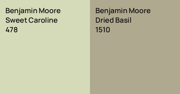 Benjamin Moore Sweet Caroline vs. Benjamin Moore Dried Basil comparison