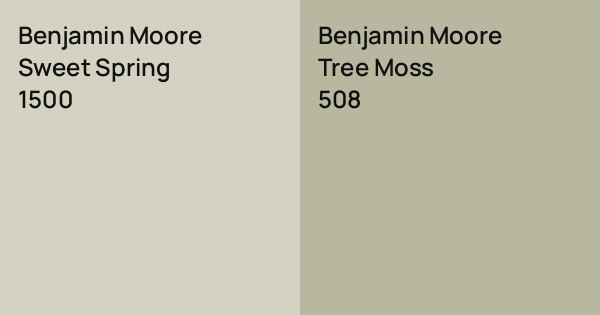 Benjamin Moore Sweet Spring vs. Benjamin Moore Tree Moss comparison