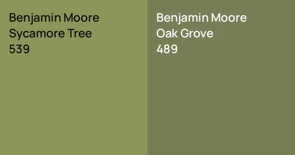 Benjamin Moore Sycamore Tree vs. Benjamin Moore Oak Grove comparison