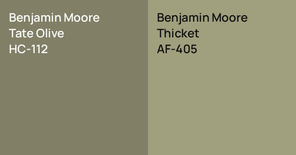Benjamin Moore Tate Olive vs. Benjamin Moore Thicket comparison