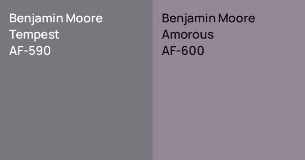 Benjamin Moore Tempest vs. Benjamin Moore Amorous comparison