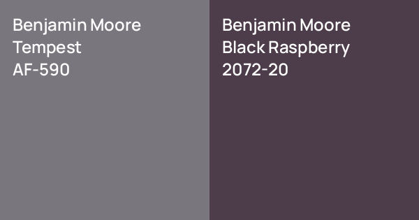 Benjamin Moore Tempest vs. Benjamin Moore Black Raspberry comparison