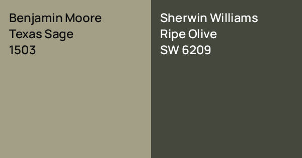 Benjamin Moore Texas Sage vs. Sherwin Williams Ripe Olive comparison
