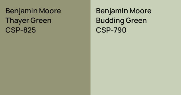 Benjamin Moore Thayer Green vs. Benjamin Moore Budding Green comparison