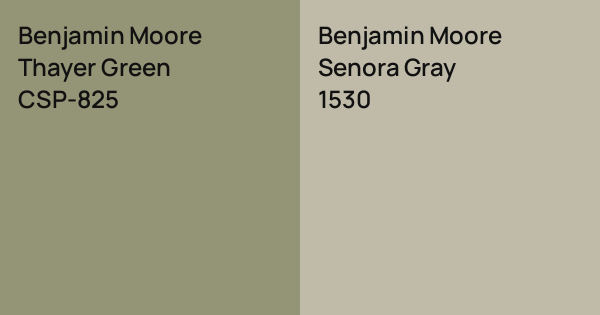 Benjamin Moore Thayer Green vs. Benjamin Moore Senora Gray comparison