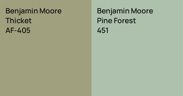 Benjamin Moore Thicket vs. Benjamin Moore Pine Forest comparison