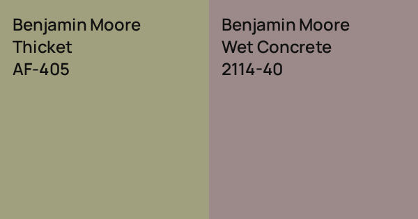 Benjamin Moore Thicket vs. Benjamin Moore Wet Concrete comparison
