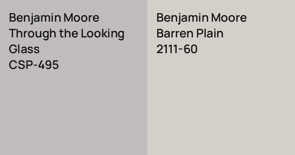 Benjamin Moore Through the Looking Glass vs. Benjamin Moore Barren Plain comparison