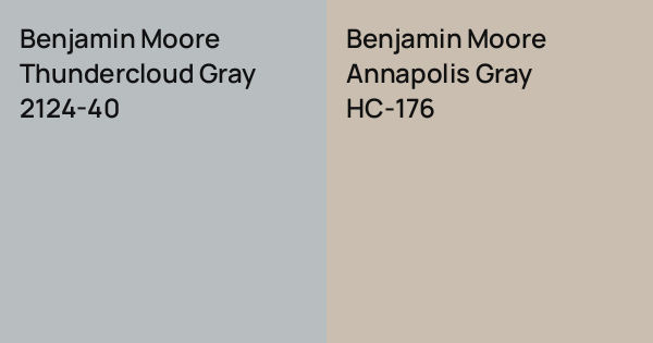 Benjamin Moore Thundercloud Gray vs. Benjamin Moore Annapolis Gray ...