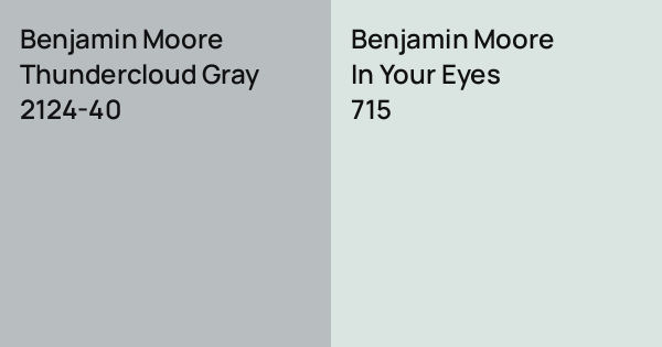 Benjamin Moore Thundercloud Gray vs. Benjamin Moore In Your Eyes comparison