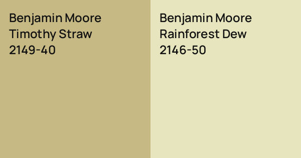 Benjamin Moore Timothy Straw vs. Benjamin Moore Rainforest Dew comparison