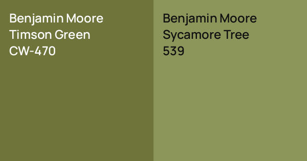 Benjamin Moore Timson Green vs. Benjamin Moore Sycamore Tree comparison