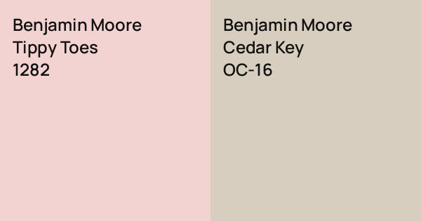 Benjamin Moore Tippy Toes vs. Benjamin Moore Cedar Key comparison