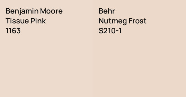 Benjamin Moore Tissue Pink vs. Behr Nutmeg Frost comparison