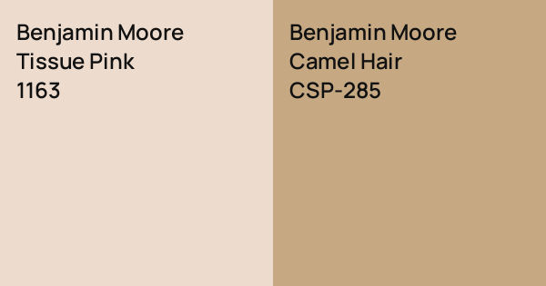 Benjamin Moore Tissue Pink vs. Benjamin Moore Camel Hair comparison