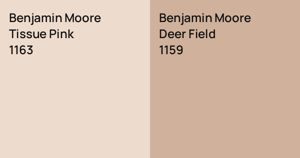 Benjamin Moore Tissue Pink vs. Benjamin Moore Deer Field comparison