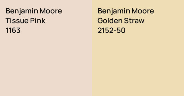 Benjamin Moore Tissue Pink vs. Benjamin Moore Golden Straw comparison
