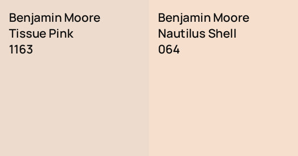 Benjamin Moore Tissue Pink vs. Benjamin Moore Nautilus Shell comparison