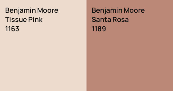 Benjamin Moore Tissue Pink vs. Benjamin Moore Santa Rosa comparison