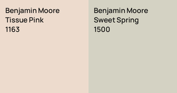 Benjamin Moore Tissue Pink vs. Benjamin Moore Sweet Spring comparison