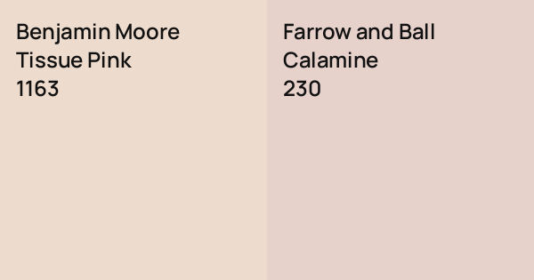 Benjamin Moore Tissue Pink vs. Farrow and Ball Calamine comparison