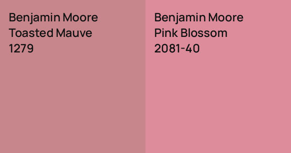 Benjamin Moore Toasted Mauve vs. Benjamin Moore Pink Blossom comparison