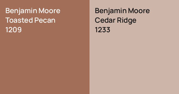 Benjamin Moore Toasted Pecan vs. Benjamin Moore Cedar Ridge comparison