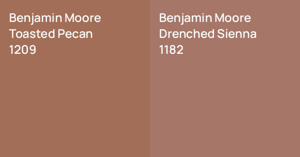 Benjamin Moore Toasted Pecan vs. Benjamin Moore Drenched Sienna comparison