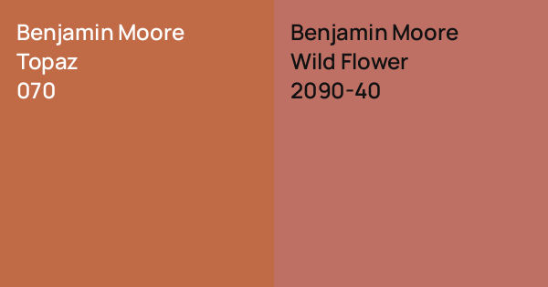 Benjamin Moore Topaz vs. Benjamin Moore Wild Flower comparison