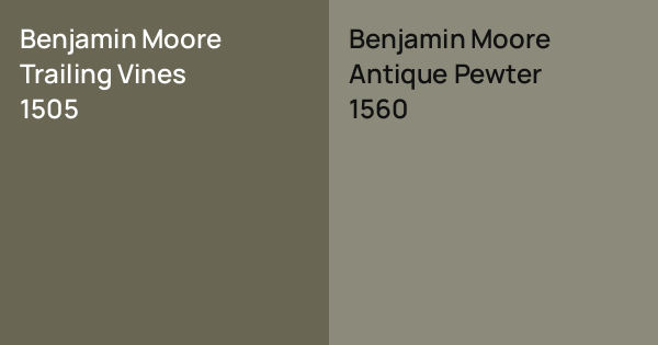 Benjamin Moore Trailing Vines vs. Benjamin Moore Antique Pewter comparison