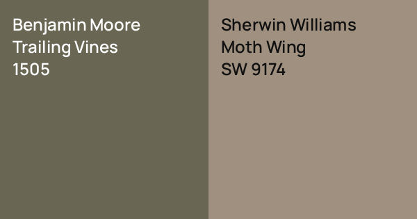 Benjamin Moore Trailing Vines vs. Sherwin Williams Moth Wing comparison