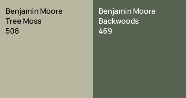 Benjamin Moore Tree Moss vs. Benjamin Moore Backwoods comparison