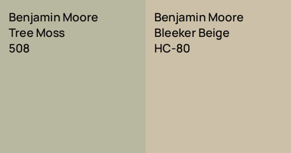 Benjamin Moore Tree Moss vs. Benjamin Moore Bleeker Beige comparison