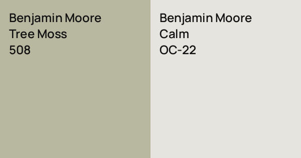 Benjamin Moore Tree Moss vs. Benjamin Moore Calm comparison