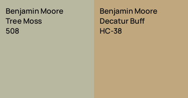 Benjamin Moore Tree Moss vs. Benjamin Moore Decatur Buff comparison