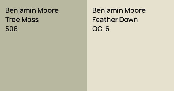 Benjamin Moore Tree Moss vs. Benjamin Moore Feather Down comparison