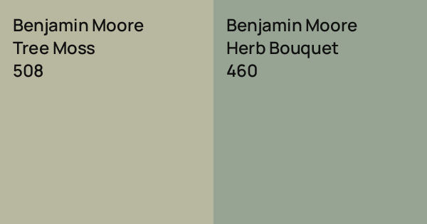 Benjamin Moore Tree Moss vs. Benjamin Moore Herb Bouquet comparison