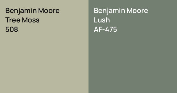 Benjamin Moore Tree Moss vs. Benjamin Moore Lush comparison