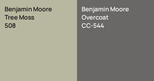 Benjamin Moore Tree Moss vs. Benjamin Moore Overcoat comparison