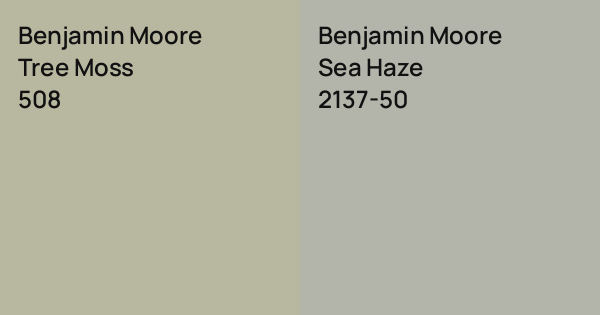 Benjamin Moore Tree Moss vs. Benjamin Moore Sea Haze comparison
