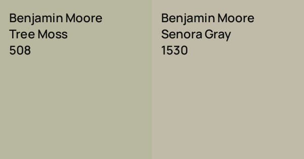 Benjamin Moore Tree Moss vs. Benjamin Moore Senora Gray comparison