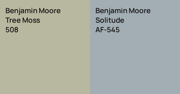 Benjamin Moore Tree Moss vs. Benjamin Moore Solitude comparison