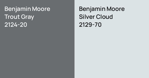 Benjamin Moore Trout Gray vs. Benjamin Moore Silver Cloud comparison